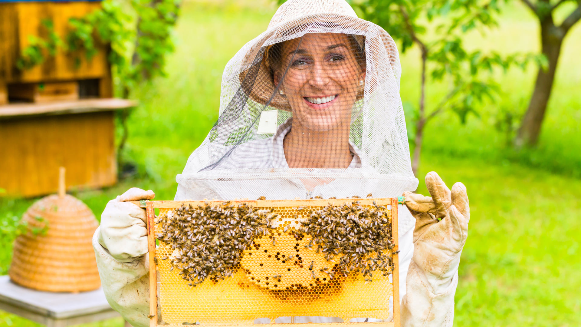Modernizing Your Apiary: A Home Beekeeper’s Guide to the Future of ...